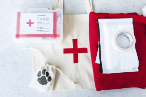 DIY First Aid Kit For Dogs - Daily Dog Tag