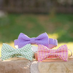 Bone & Bow Tie Giveaway - Daily Dog Tag