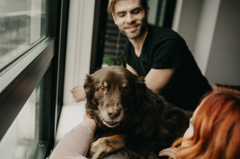 Happy Tails: Shadow the Aussie Mix At Home - Daily Dog Tag