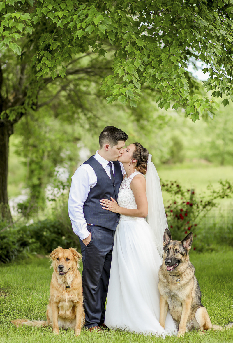 Best (Wedding) Dogs: Roman and Ryah - Daily Dog Tag