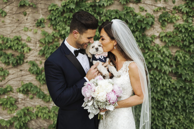 Best (Wedding) Dog: Teddy the Morkie - Daily Dog Tag