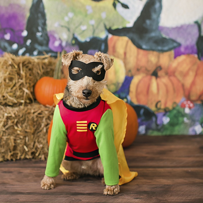 Happy Howl-O-Ween! - Daily Dog Tag