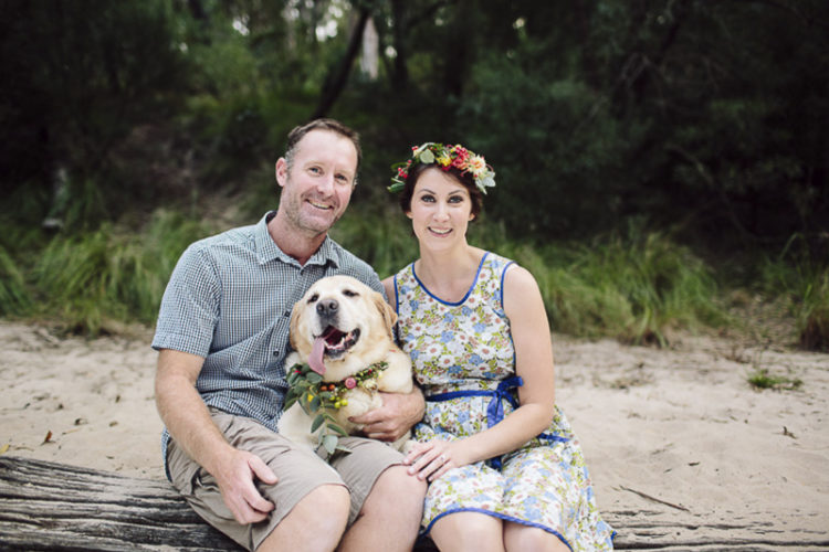 Engaging Tails: Bridie the Lab In the Australia Bush - Daily Dog Tag