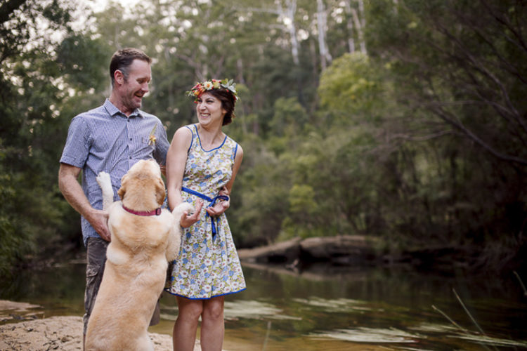 Engaging Tails: Bridie the Lab In the Australia Bush - Daily Dog Tag
