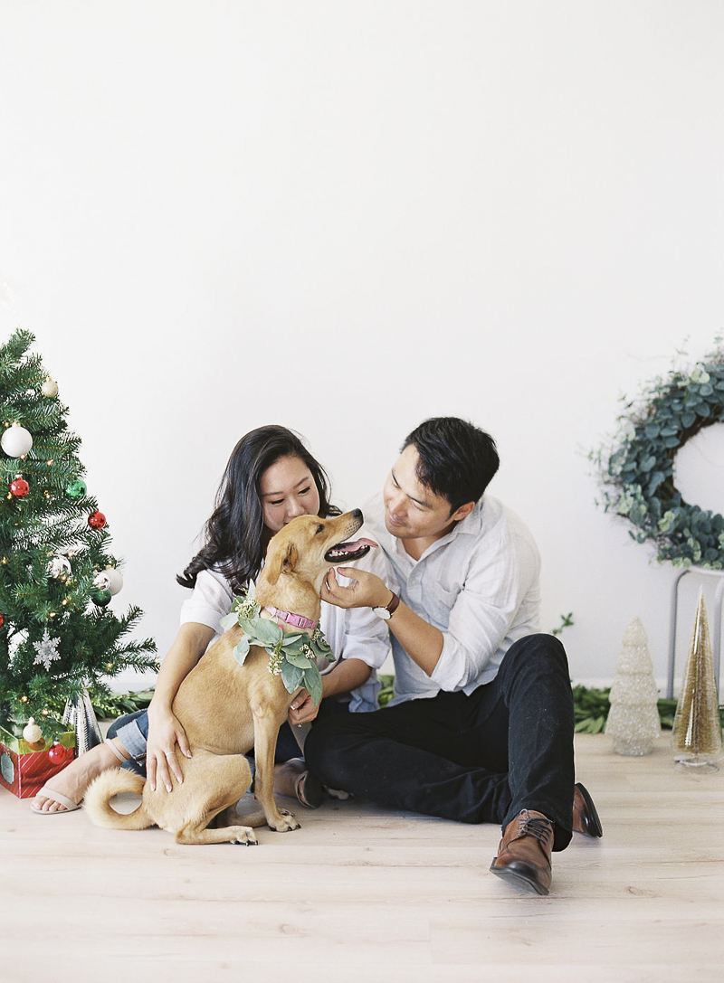 Happy Tails: Nala the Formosan Mountain Dog mix - Daily Dog Tag