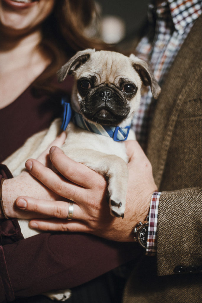 Puppy Love: Sip & See for Puppies - Daily Dog Tag