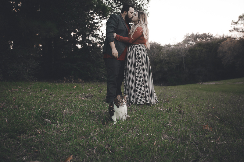 Caturday: Cat-Friendly Engagement Session - Daily Dog Tag