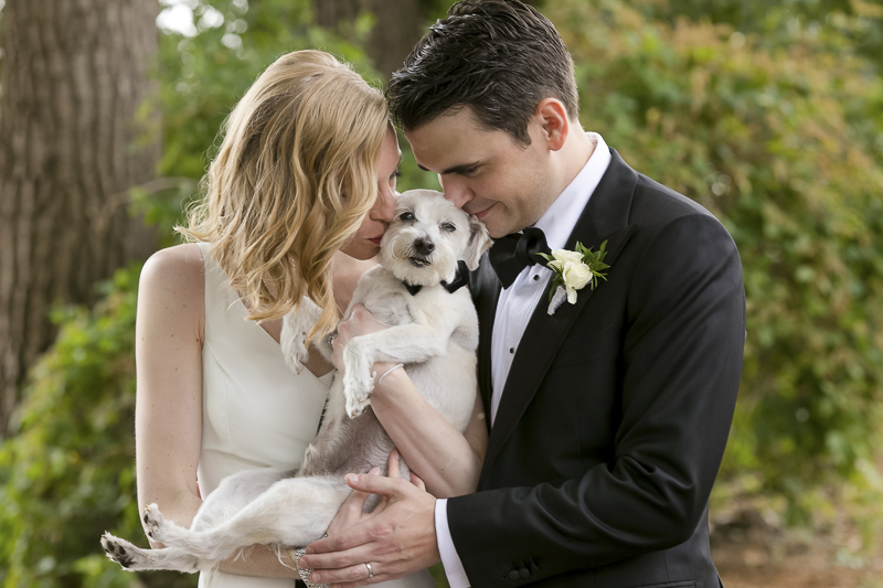 Best (Wedding) Dog: Cooper the Little White Dog - Daily Dog Tag