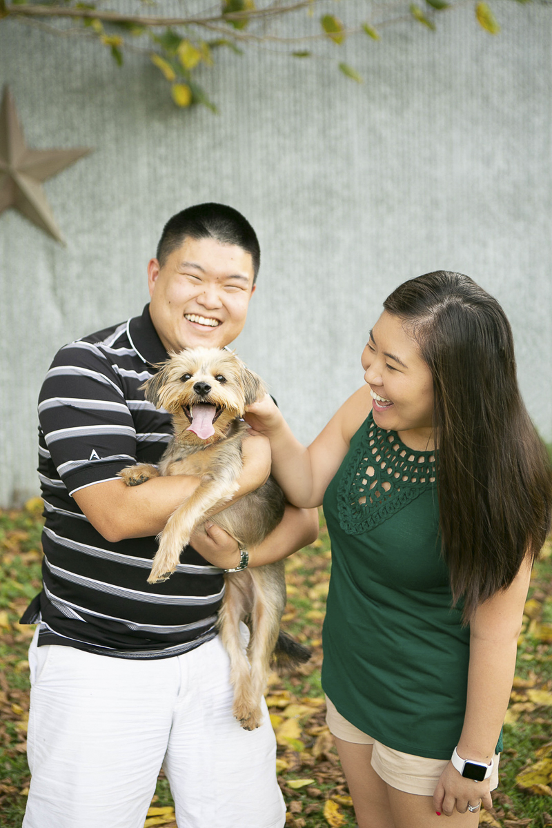 Happy Tails: Yoda the Yorkie Mix - Daily Dog Tag
