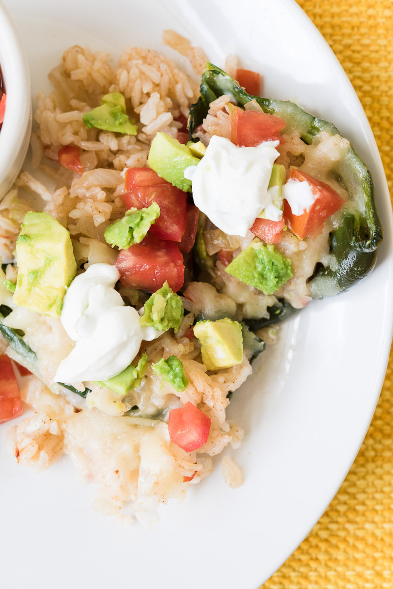 Moving Towards A Plant Based Diet With HelloFresh - Daily Dog Tag