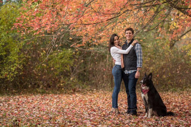Engaging Tails: Jackson the Border Collie | Madison, WI - Daily Dog Tag