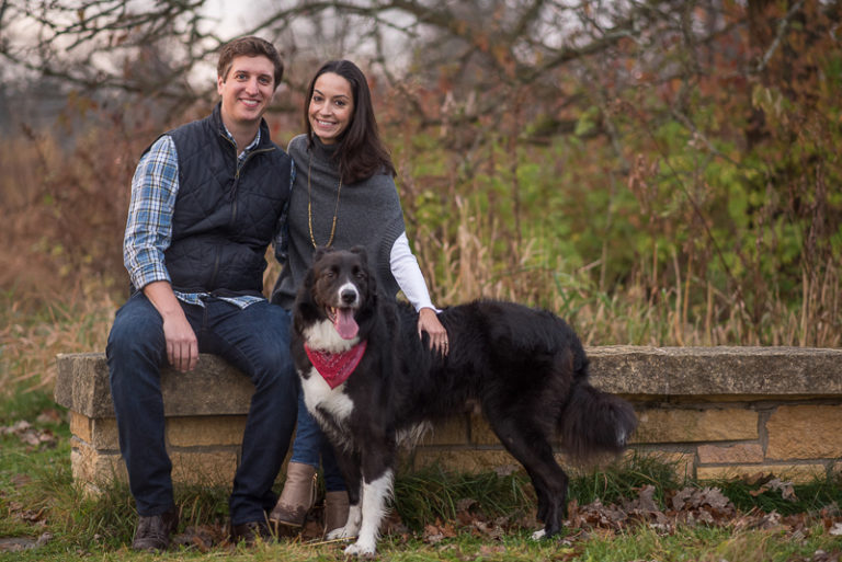 Engaging Tails: Jackson the Border Collie | Madison, WI - Daily Dog Tag