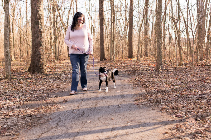 Dog Pawty: Delilah the Border Collie | Cake Smash - Daily Dog Tag