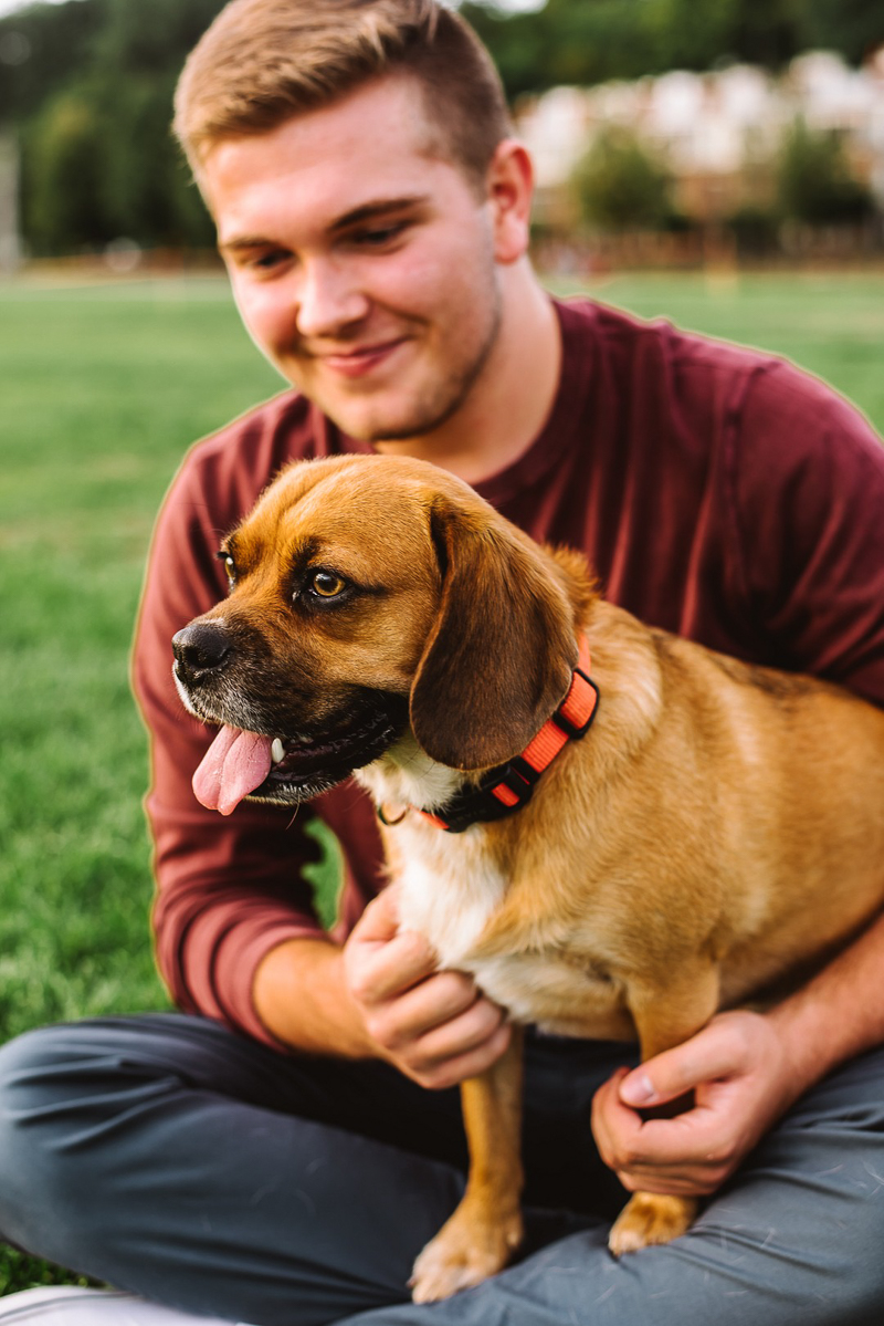 Happy Tails: Sydney the Puggle | Burlington Waterfront - Daily Dog Tag