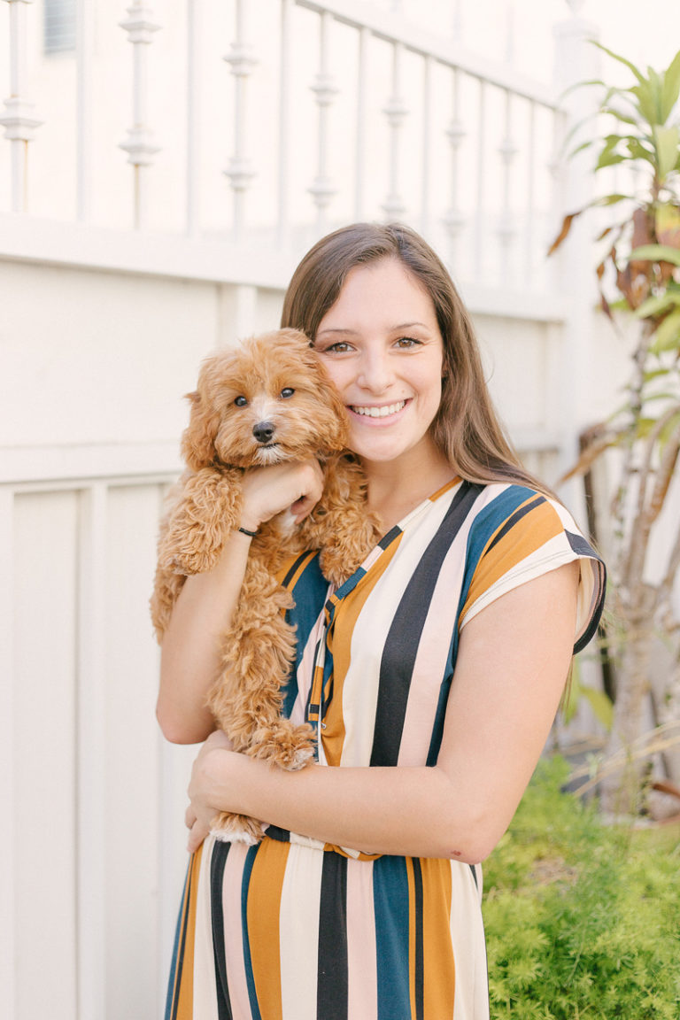 Puppy Love: Luna Bear The Cavapoo - Daily Dog Tag