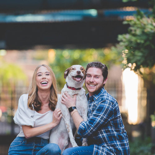 Dog-friendly Engagement With a Pug - Daily Dog Tag
