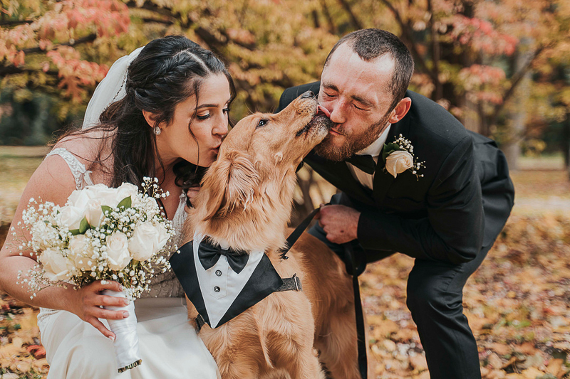 Bertrand Perrodo Wedding Hilton Garden Inn Perrysburg Wedding | Jess