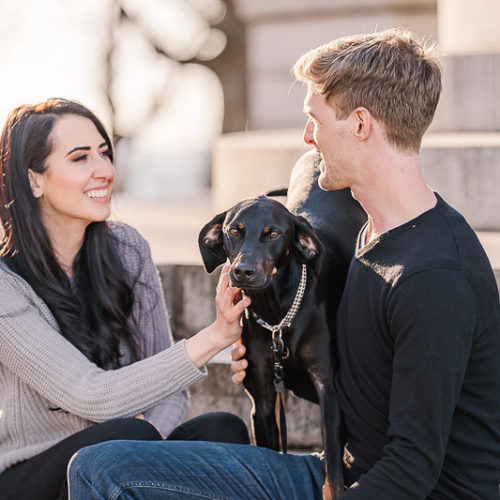 Dog-friendly Engagement With a Pug - Daily Dog Tag