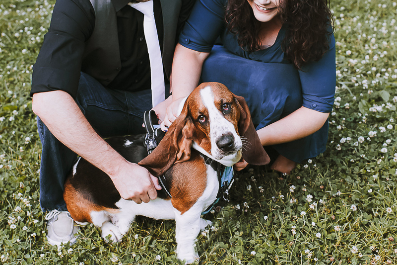 Dog-friendly Engagement | Louisville, KY - Daily Dog Tag