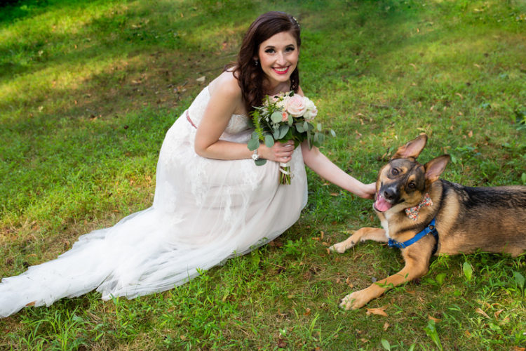 5 Pawtastic Ways to Include Dogs In Weddings - Daily Dog Tag