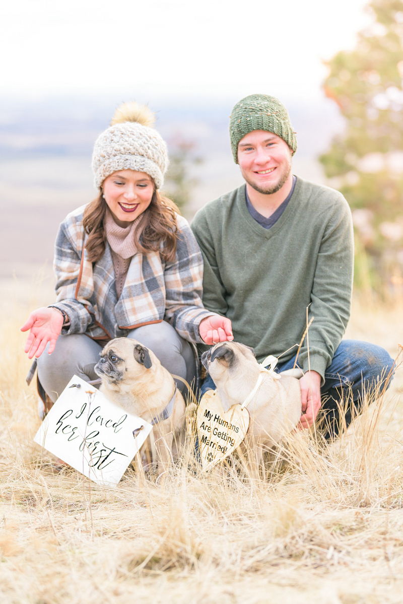 Pug-friendly Engagement Session | Pullman, WA - Daily Dog Tag