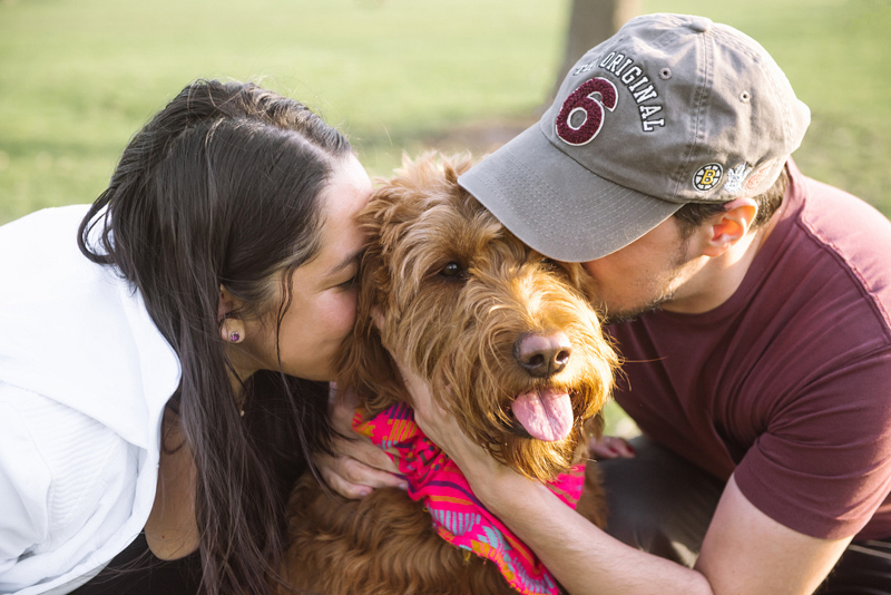 Dog-friendly Portraits in Portage Park, Chicago, IL - Daily Dog Tag